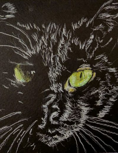 Current Exhibit - The PAPA Gallery