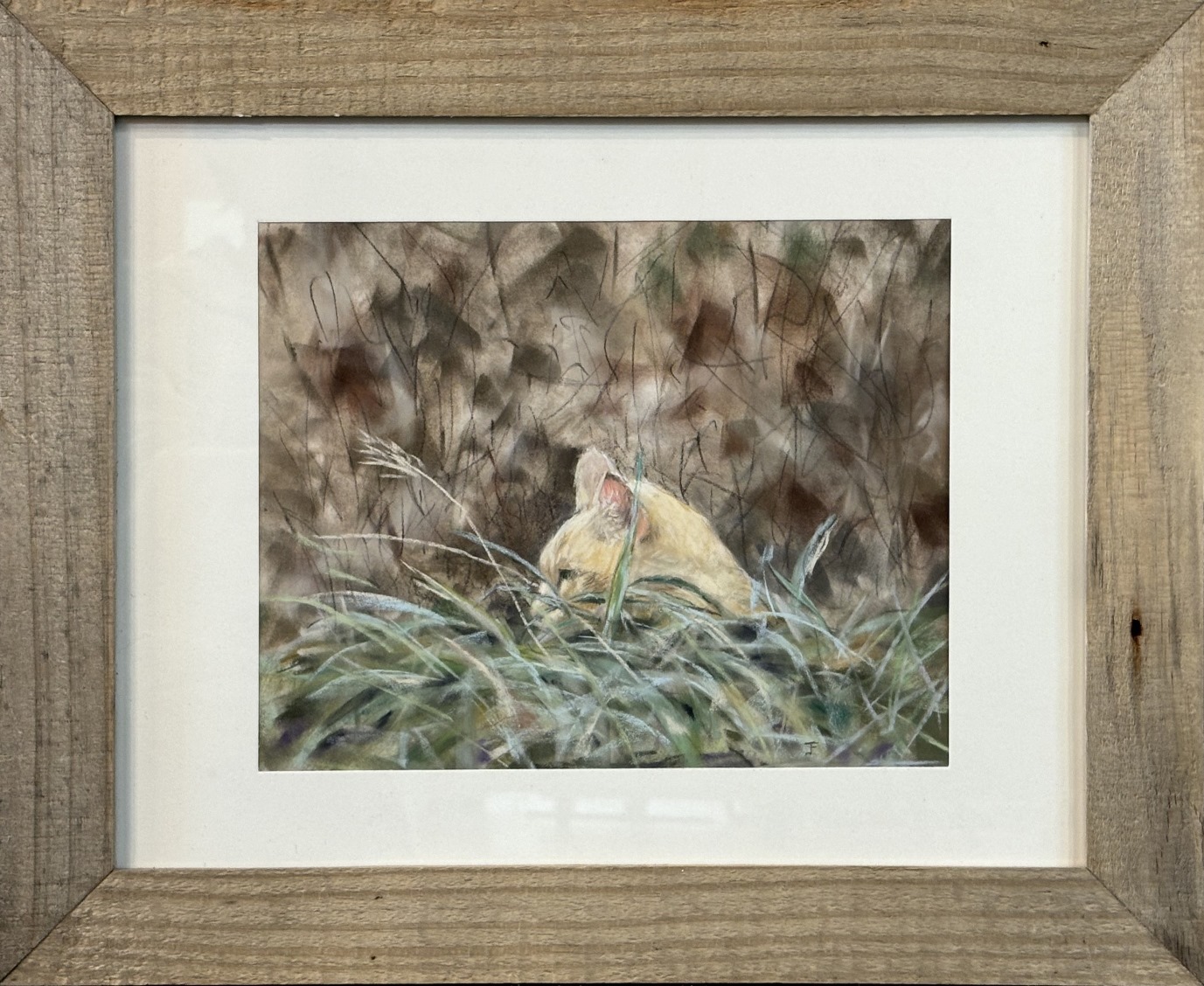 Current Exhibit - The PAPA Gallery